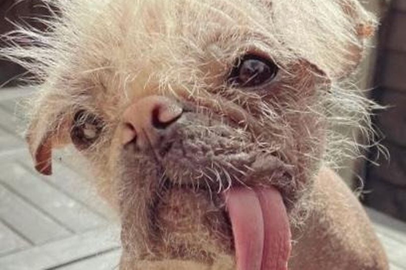 Comic Con North East to bring stars of Walking Dead, Game of Thrones ...