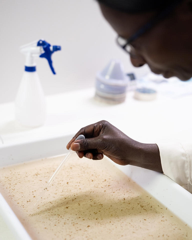 A top Zimbabwe malaria research center killed by USAID closure ...