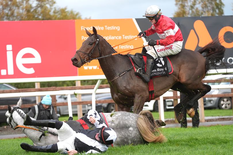 Chaos at Down Royal as two horses fall at final hurdle to gift victory ...