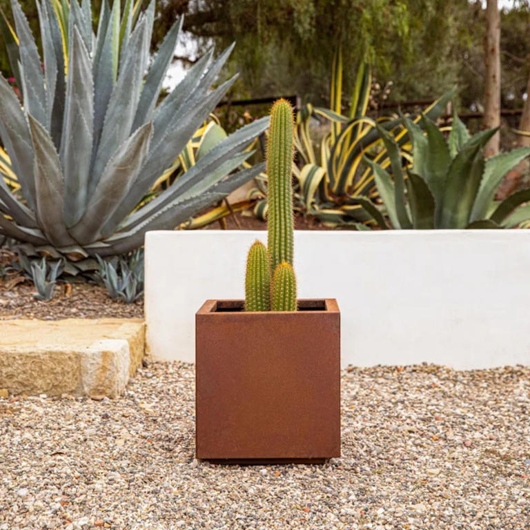 These 3 Methods Protect My Pots and Planters From Frost Every Time