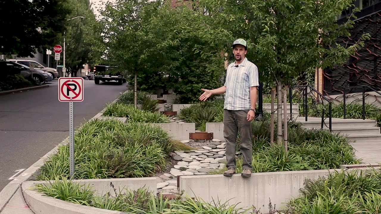 Unlocking rainwater magic in urban spaces