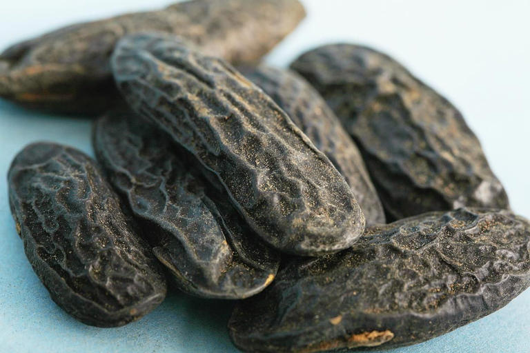 Tonka Bean Wangi Apa? Deskripsi, Karakteristik, dan Contoh Parfumnya
