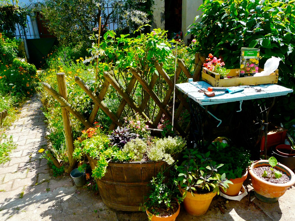 Container Gardening for Less!
