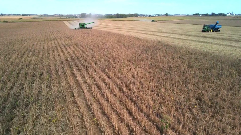 Minnesota farmers relieved after Trump's soybean deal with China