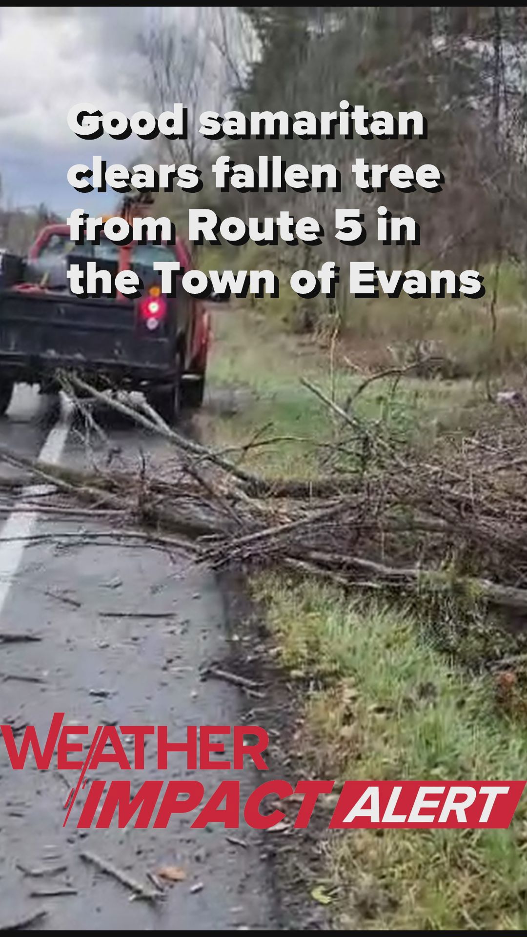 Good Samaritan clears fallen tree from Rt. 5