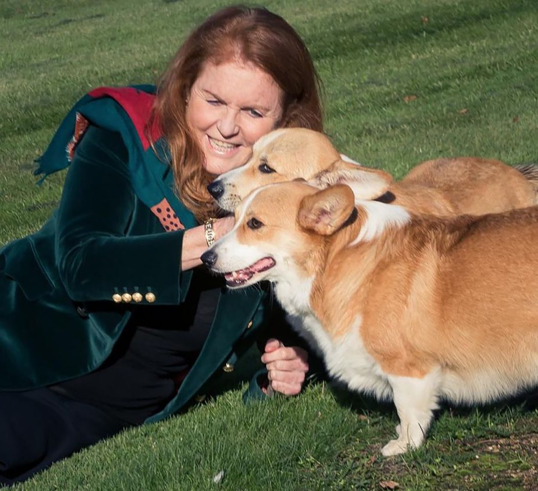 Palace Reveals What Happens to Queen Elizabeth's Corgis, Who Were ...