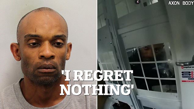 Killer shouts 'I regret nothing' after stabbing partner