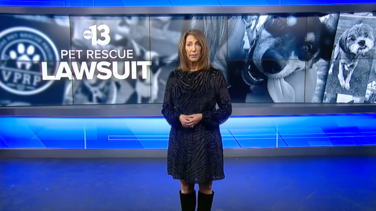Vegas Pet Rescue Project Board Sues Founder Over Alleged Embezzlement ...
