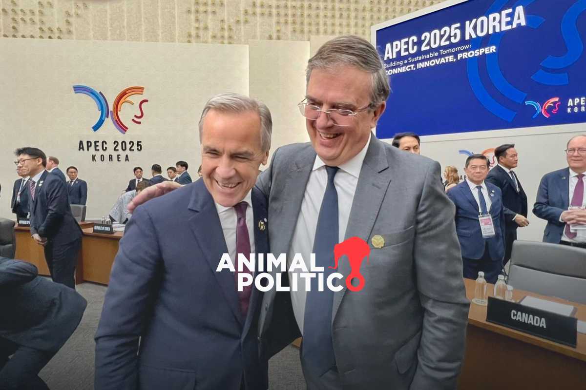 México plantea ante la Cumbre de la APEC una regulación regional de la ...