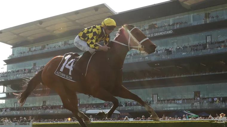 Who won the Golden Eagle 2025? Winner, placings from feature horse race ...