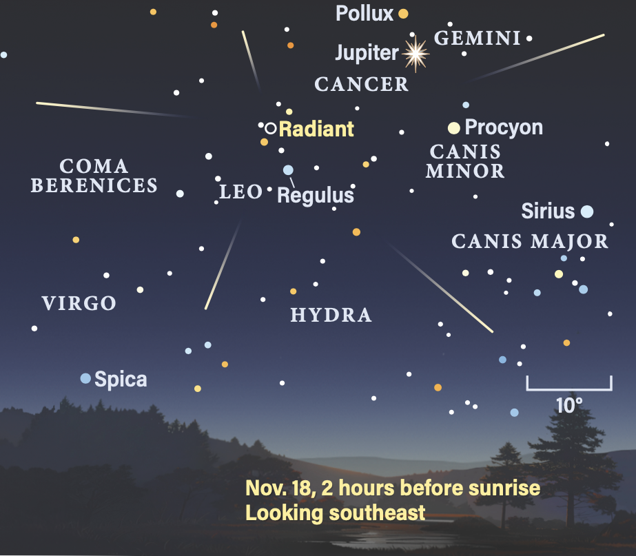 The Sky Today on Tuesday, November 18: Catch Leonid meteors this morning