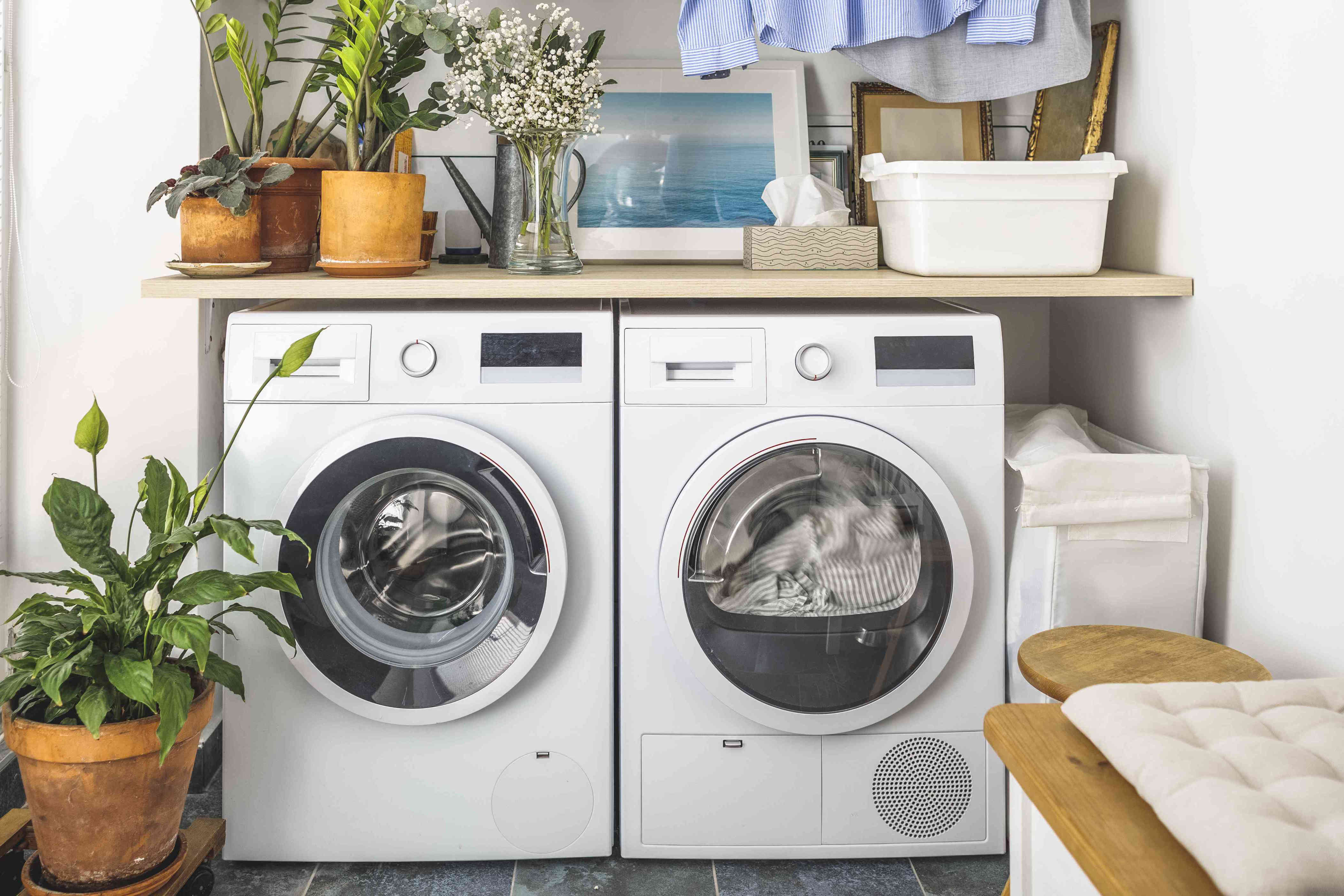 How to Clean Your Washing Machine—and Get Rid of That Musty Smell
