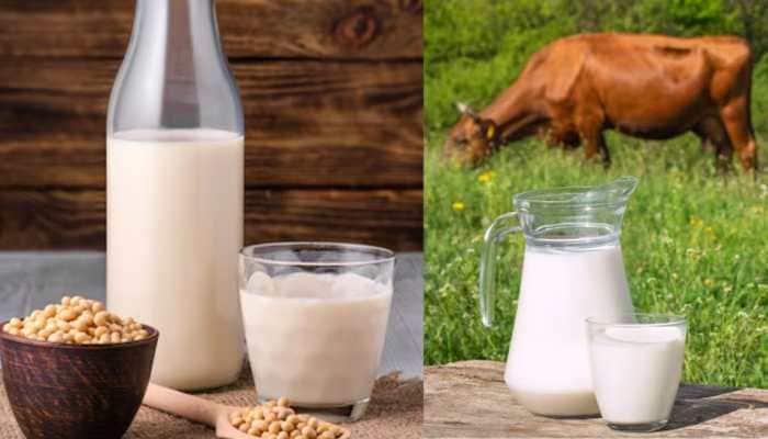 Is Soy Milk Healthier Than Cow Milk? Check Detailed Analysis Of ...