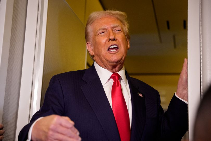 Harrison Ford slams Donald Trump over climate change inaction as 'the ...