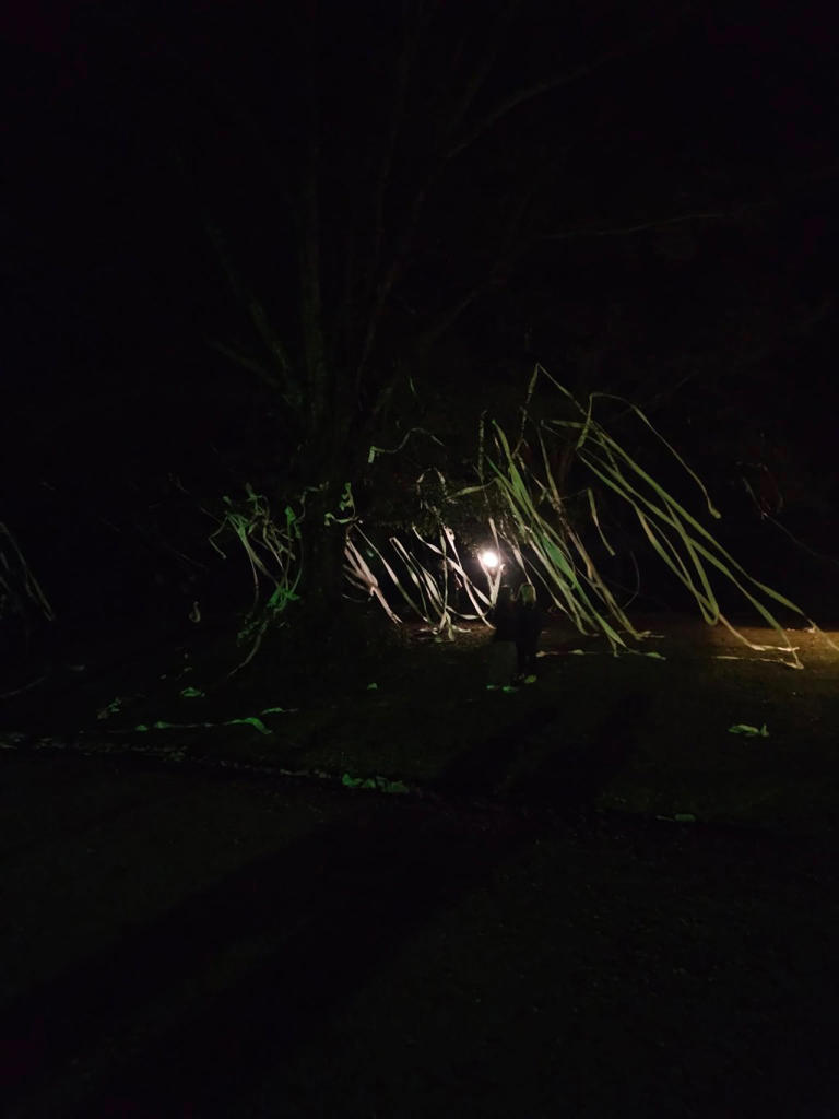 Alabama police get revenge on high school seniors who covered HQ with ...