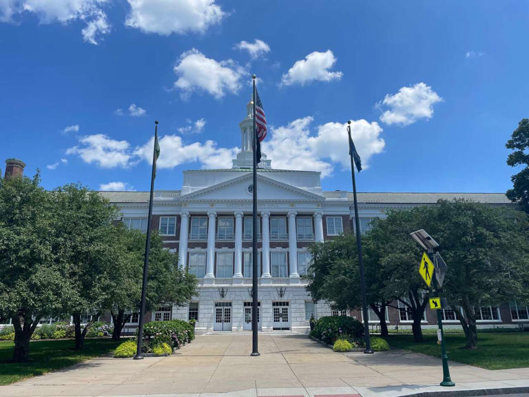 Greenwich man sues town, claims animal feces from town infrastructure ...