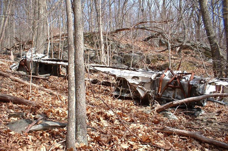 Plane crash survivor says 'Jesus was looked at me – his eyes blinked ...