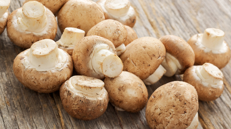 15 Types Of Mushrooms & What To Cook With Them