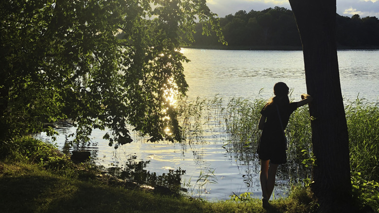 Indiana's Pretty Town On The Shores Of Lake Michigan Has Scenic Parks ...