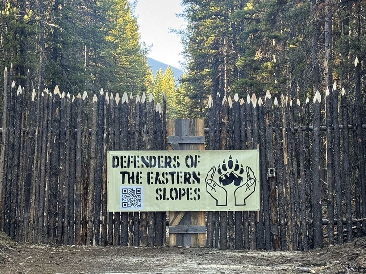 Activists block Kananaskis road to stop logging