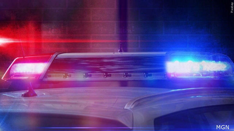 Arson investigation launched after early morning car fire