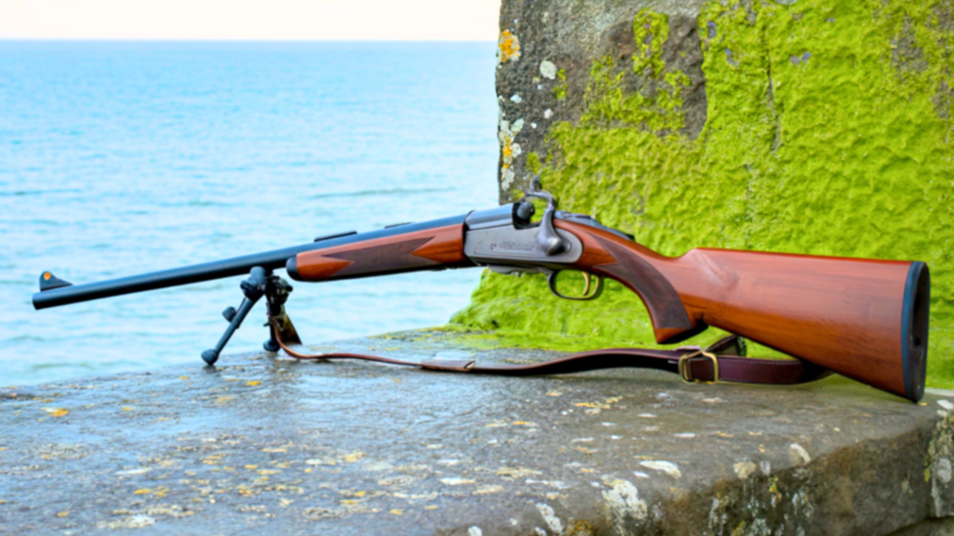 Guns hunters keep as reminders, not tools