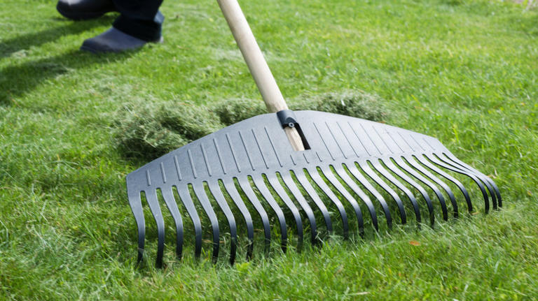 How To Use The Cross-Cut Method For Easily Mowing Your Thick Grass