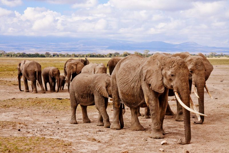 9 Animal Reactions That Scientists Still Can’t Explain