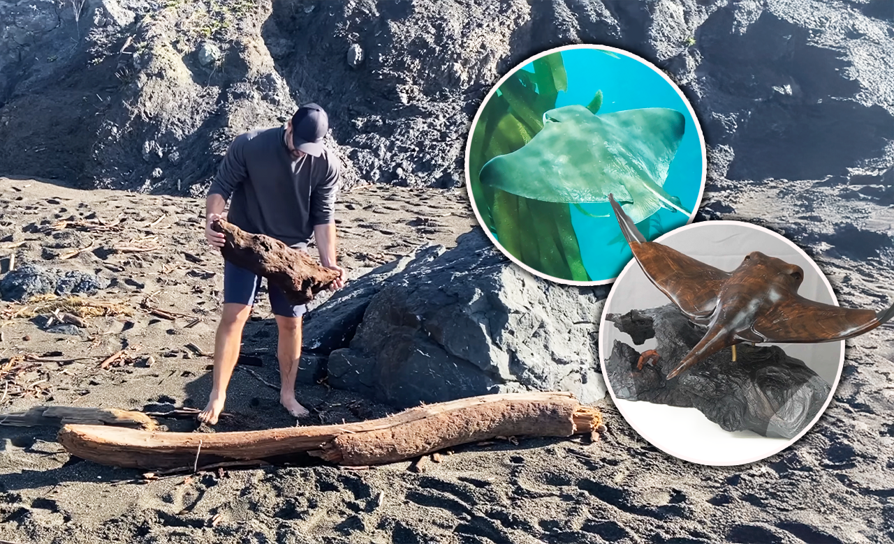 Ocean adventure: Catch, cook & wood carving art