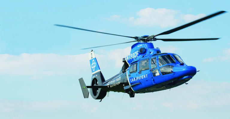 Man trimming trees electrocuted has several cauterized wounds in Ohio ...