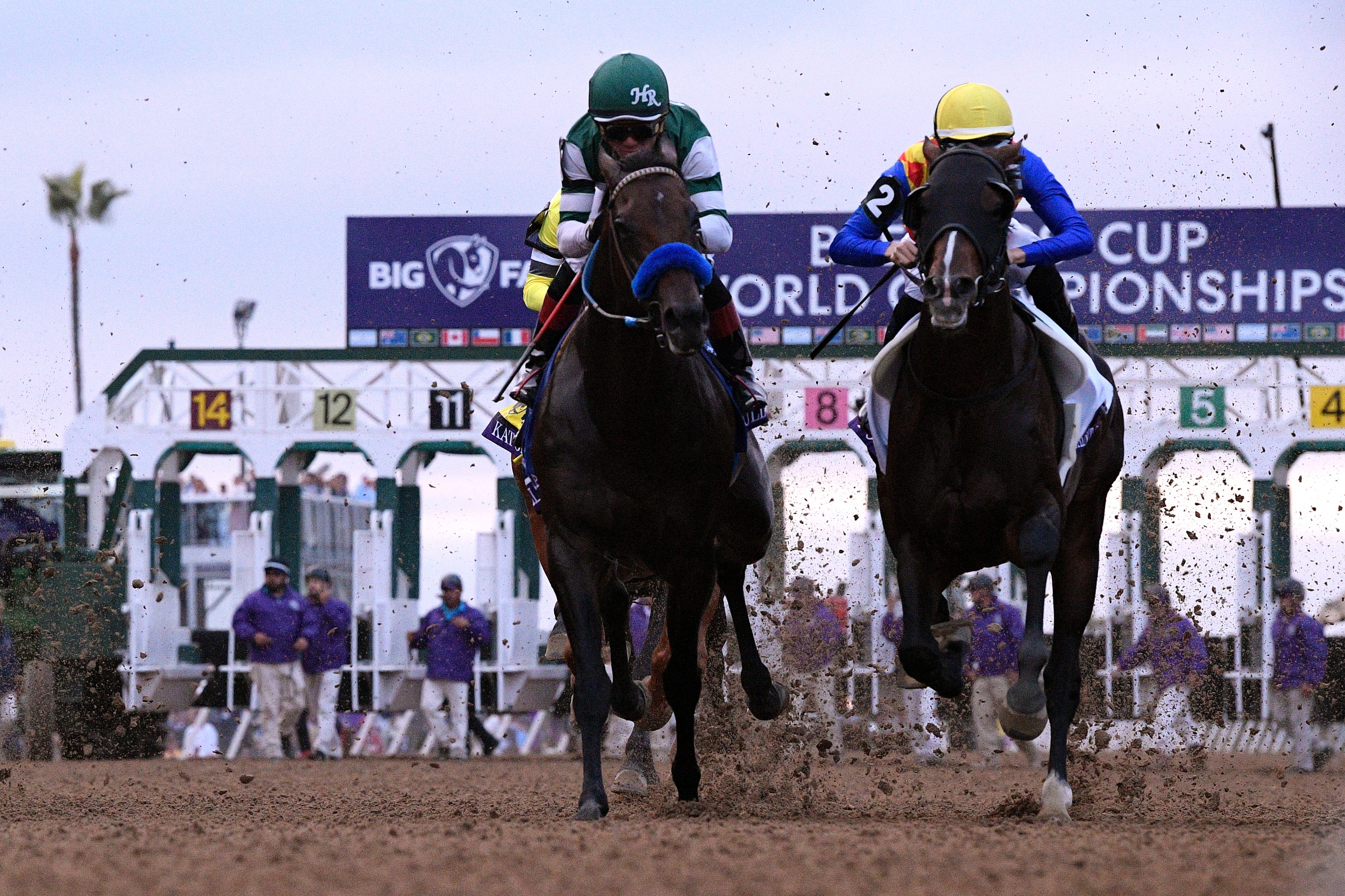 Breeders' Cup results 2025: Saturday's winners, prize payouts from Saturday
