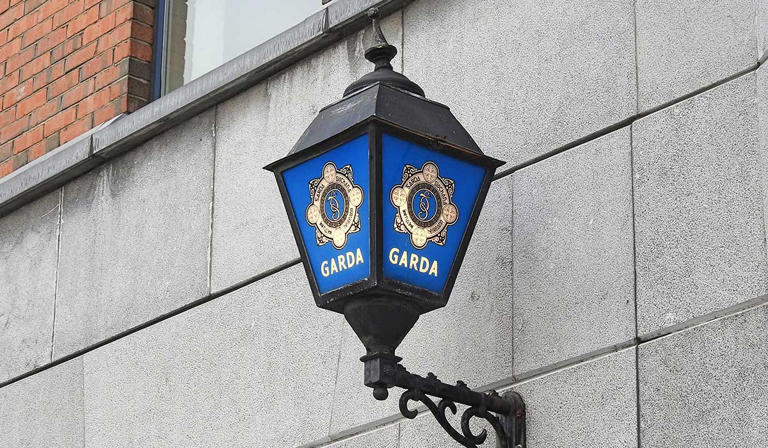 Gardai deploy stinger device on ‘dangerous’ driver who flew through ...
