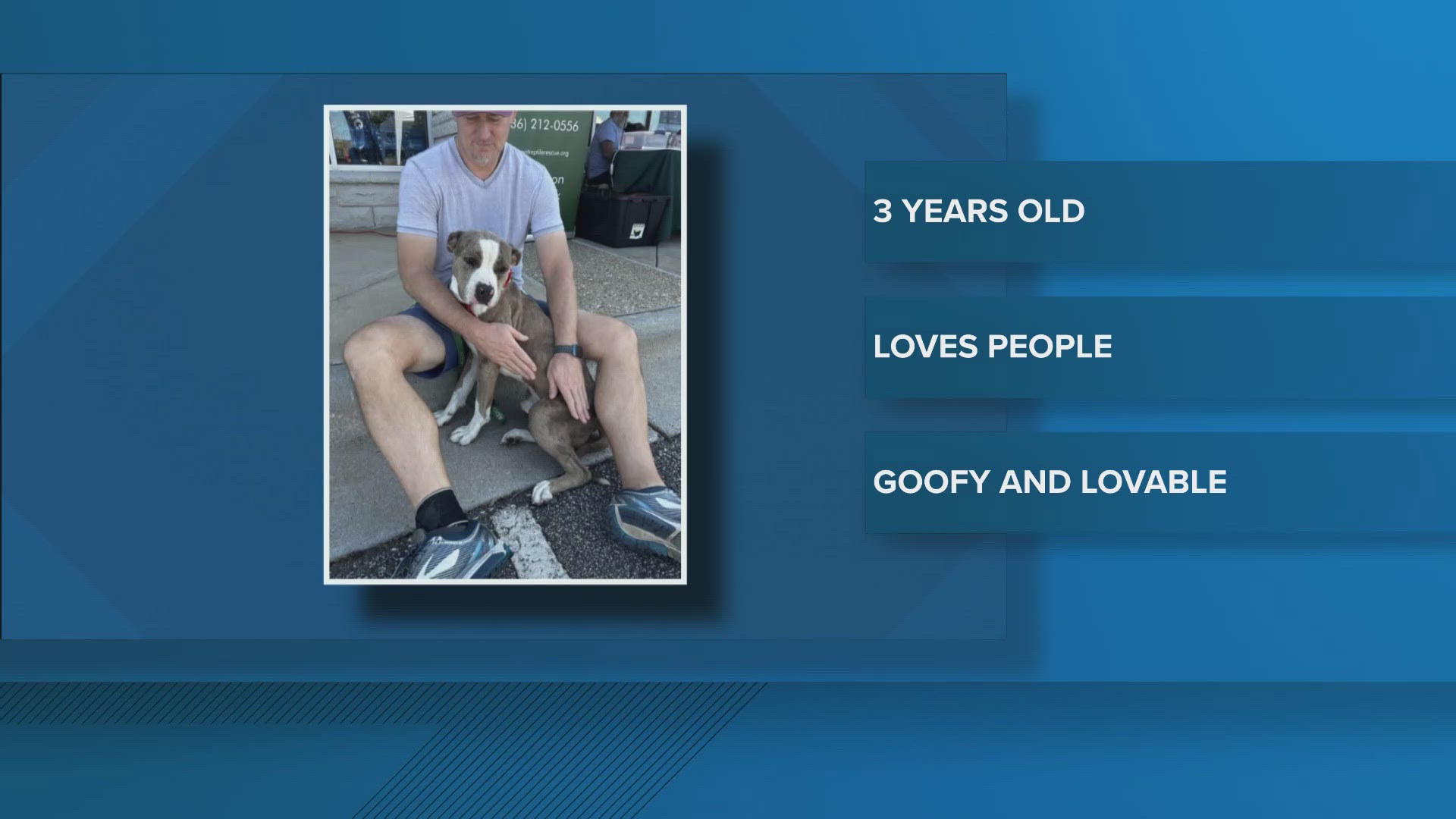 2 The Rescue: Meet Cane