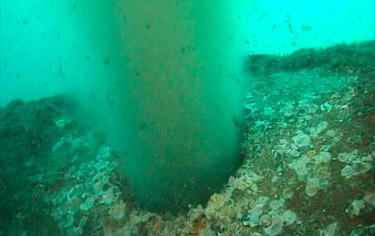 Neue Ekel-Zahlen: Die bittere Wahrheit über Mallorcas Meer