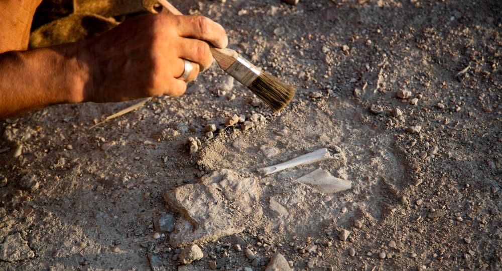Bone tools and beads from 13,000 years ago unearthed in Direkli Cave ...