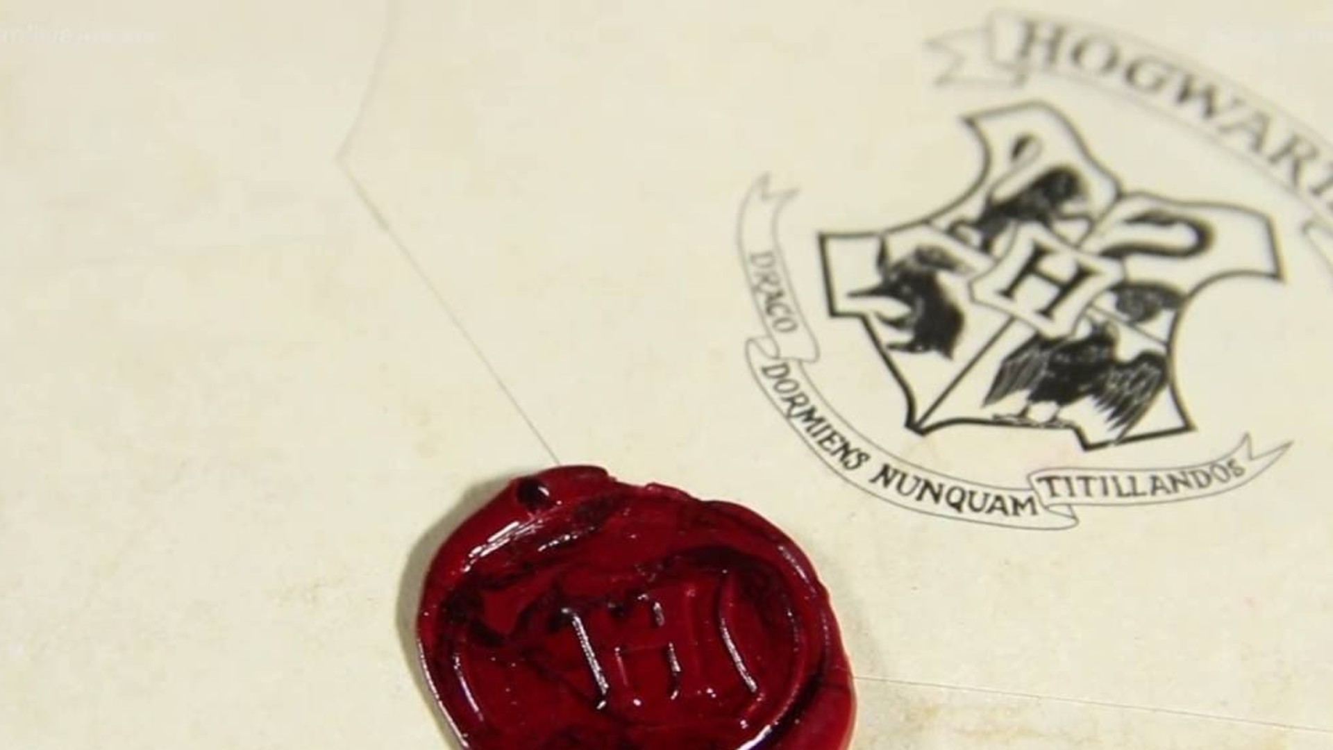 10 Harry Potter Characters Who Deserve Their Own Spin-Off Story