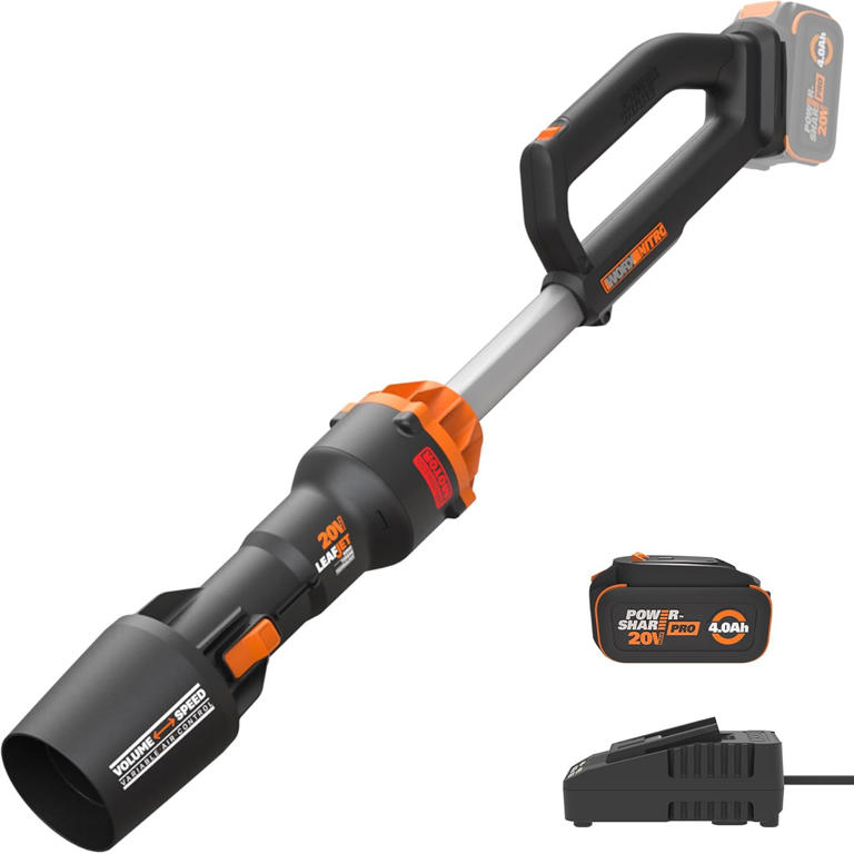 What to do if your neighbor's tree is dropping leaves in your yard ...