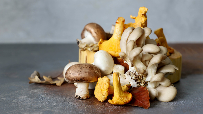 15 Types Of Mushrooms & What To Cook With Them