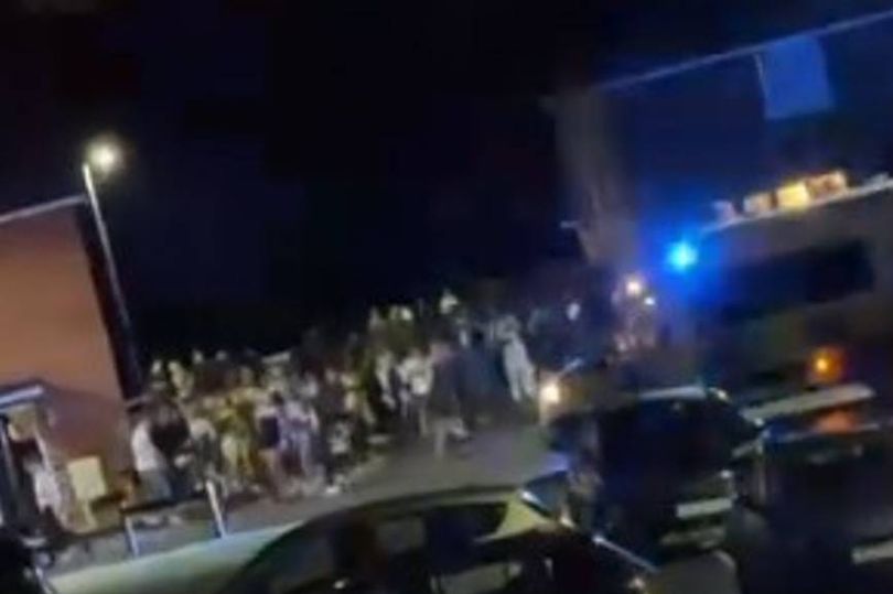 Police swoop after huge Halloween party turns into chaos with 500 teen ...