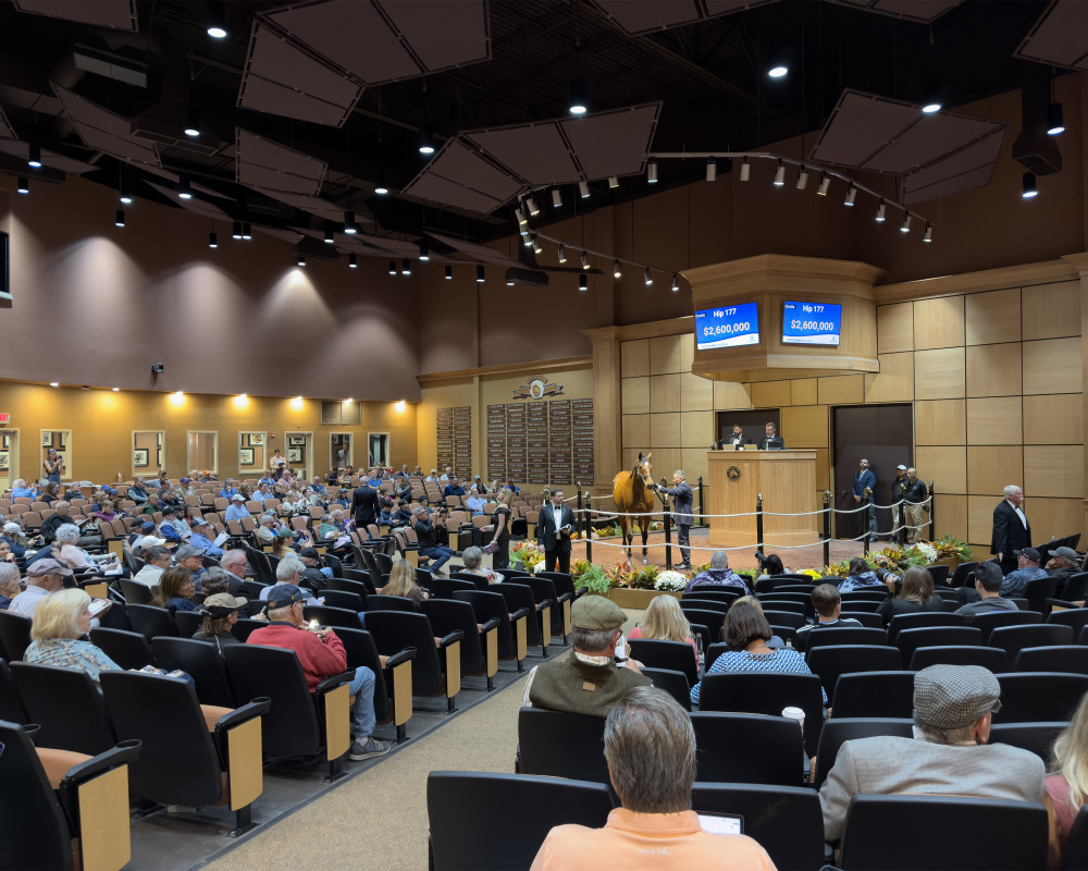 First-Crop Sire Watch Presented By Gainesway: 2025 Fasig-Tipton ...