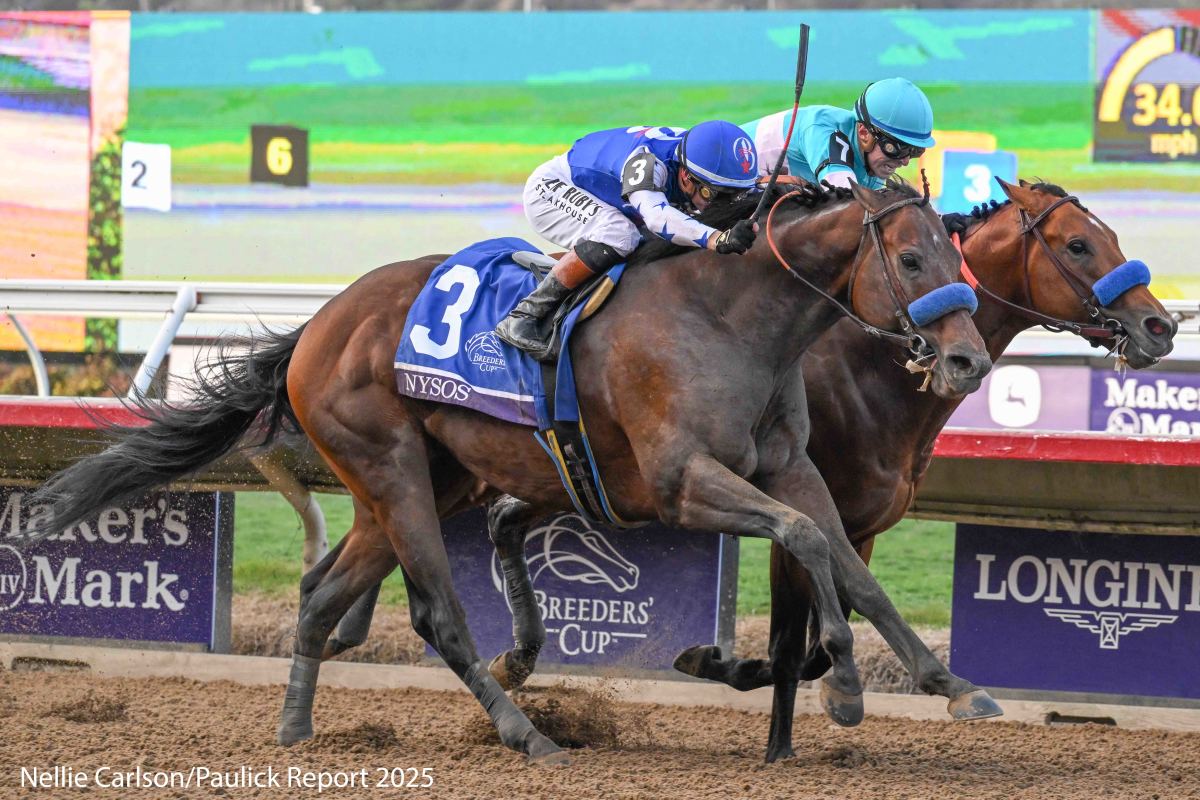 Breeders' Cup winners anchor Santa Anita's Sunday work tab