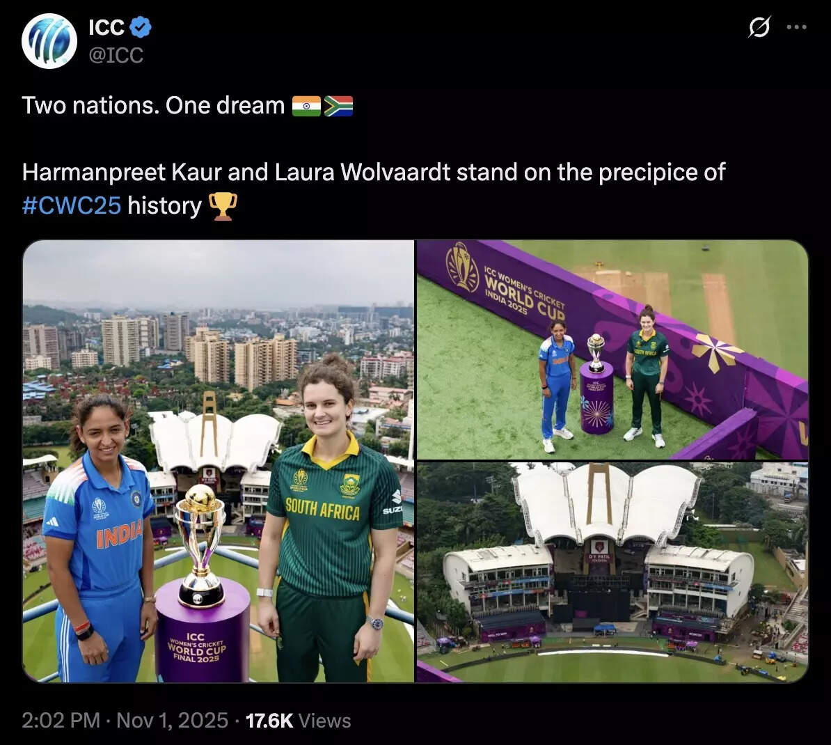 Women's World Cup Final: INDW vs SAW squads, record, form, live ...