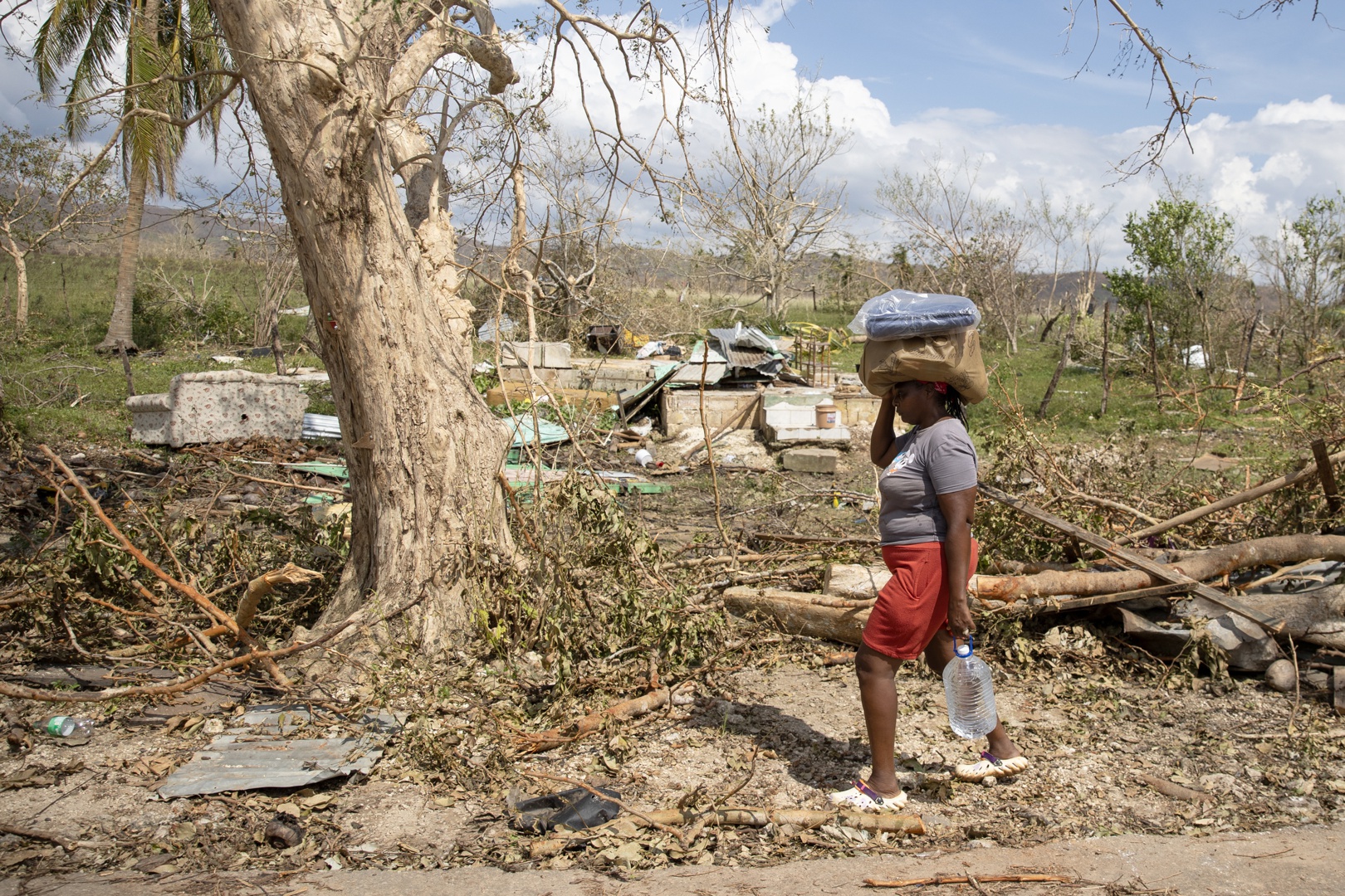 Jamaica organizará conciertos benéficos para apoyar la recuperación ...