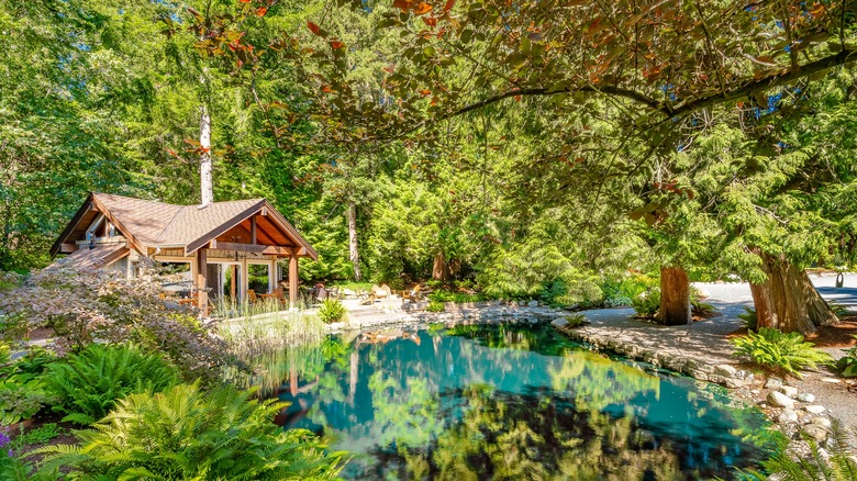 The Coziest Cabin Rentals Across America To Escape Civilization In ...