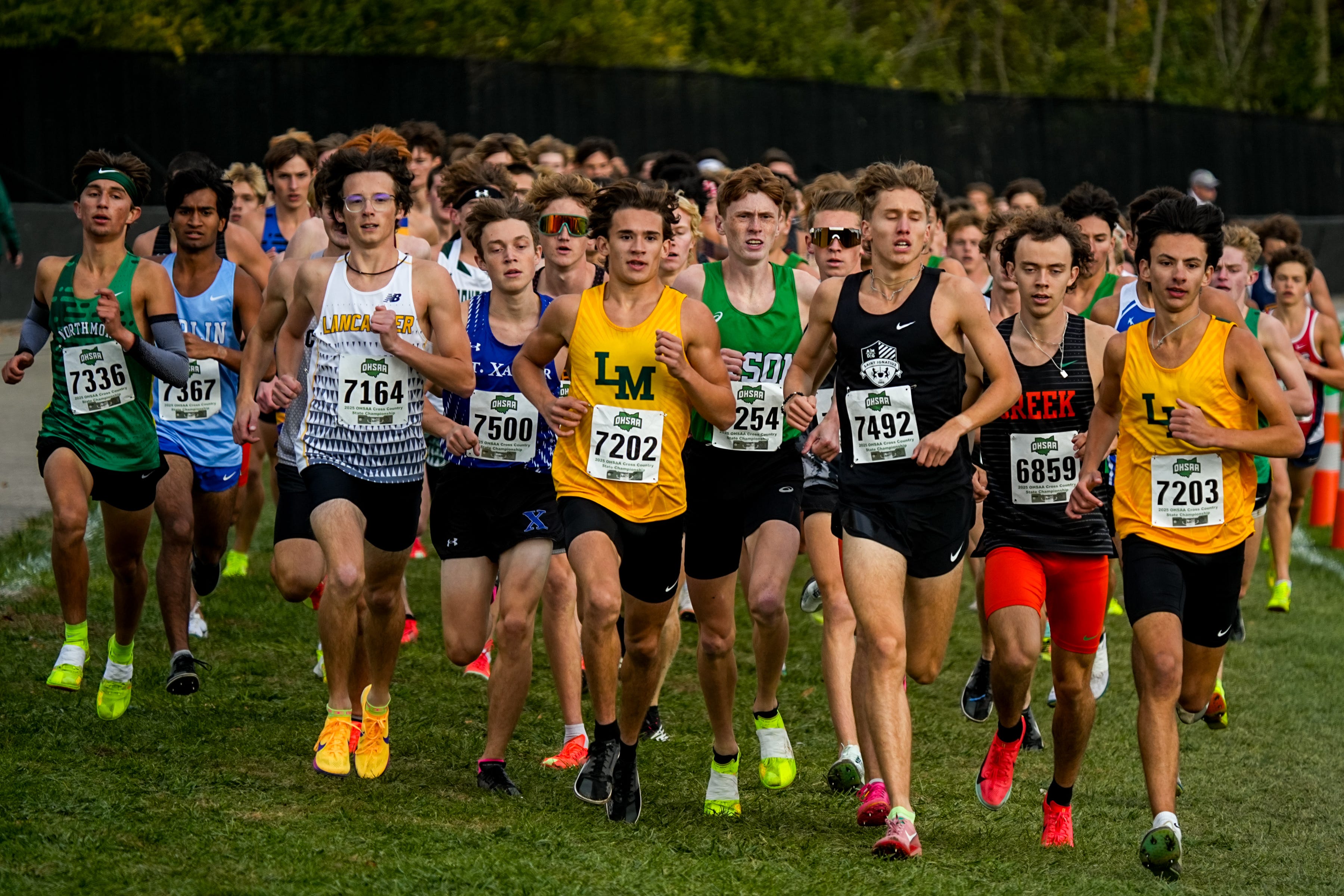 Central Ohio boys runners fall short of winning OHSAA cross-country ...