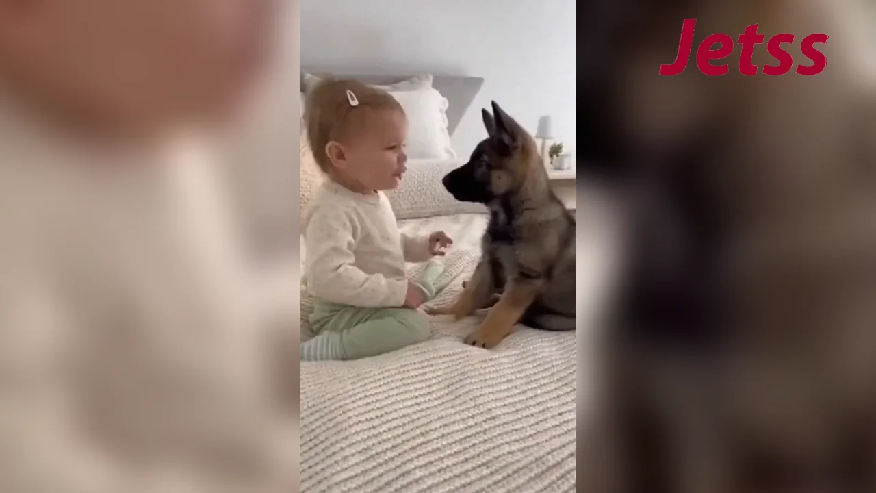 Bebê e cachorrinho protagonizam vídeo encantador que derrete corações