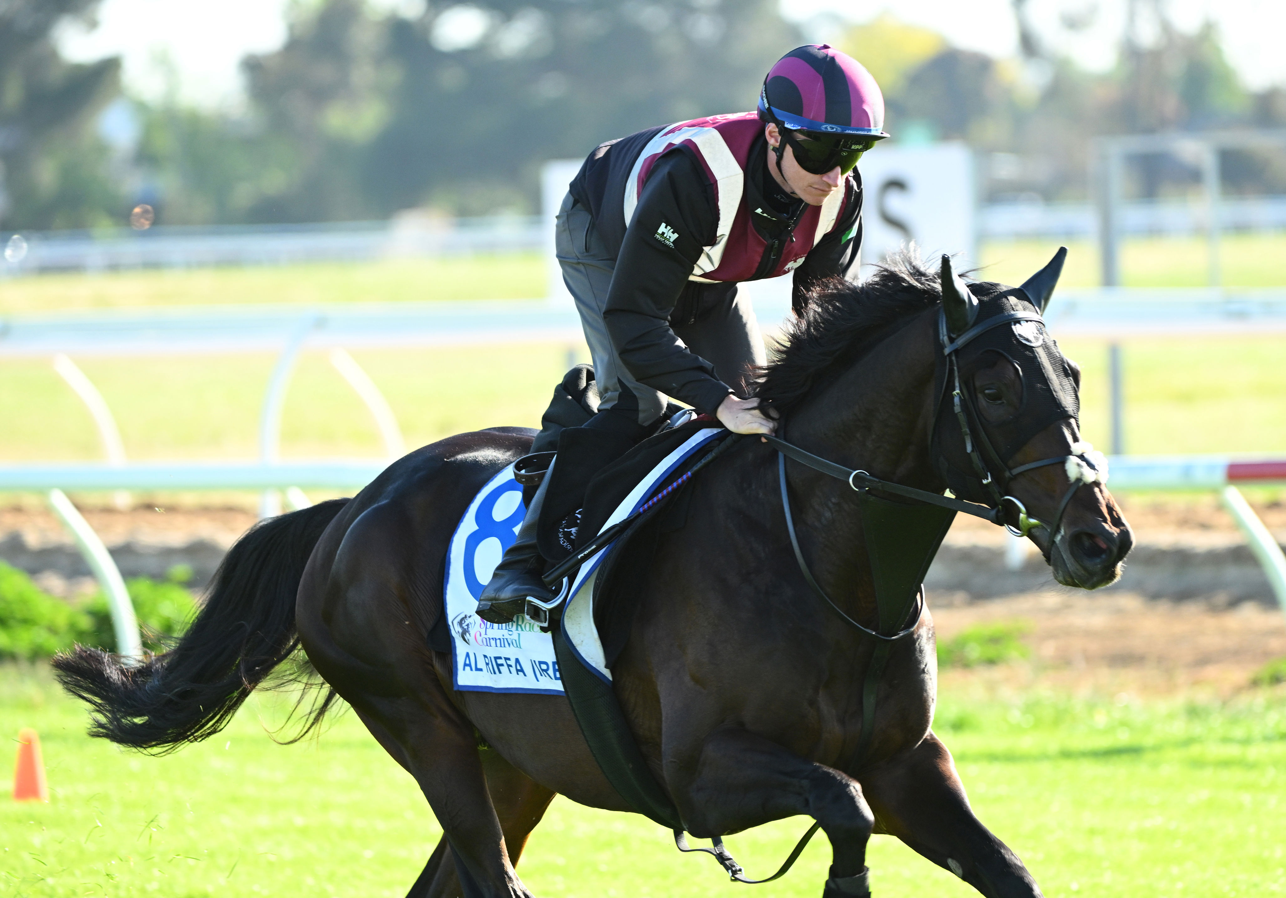 Cup form guide: Payne backs German 'X-factor' to fire