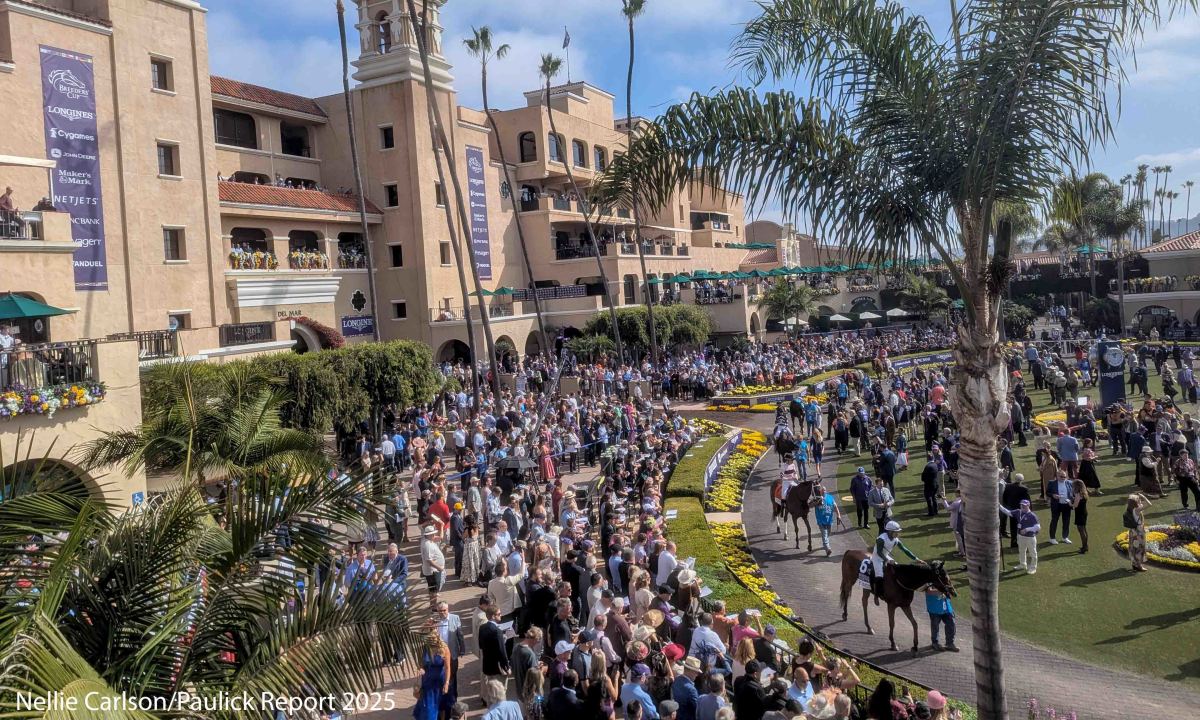 HIWU Clears Race Day Samples From 2025 Breeders’ Cup World Championships