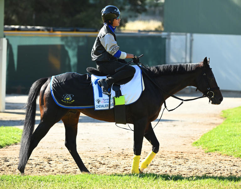 Cup form guide: Payne backs German 'X-factor' to fire