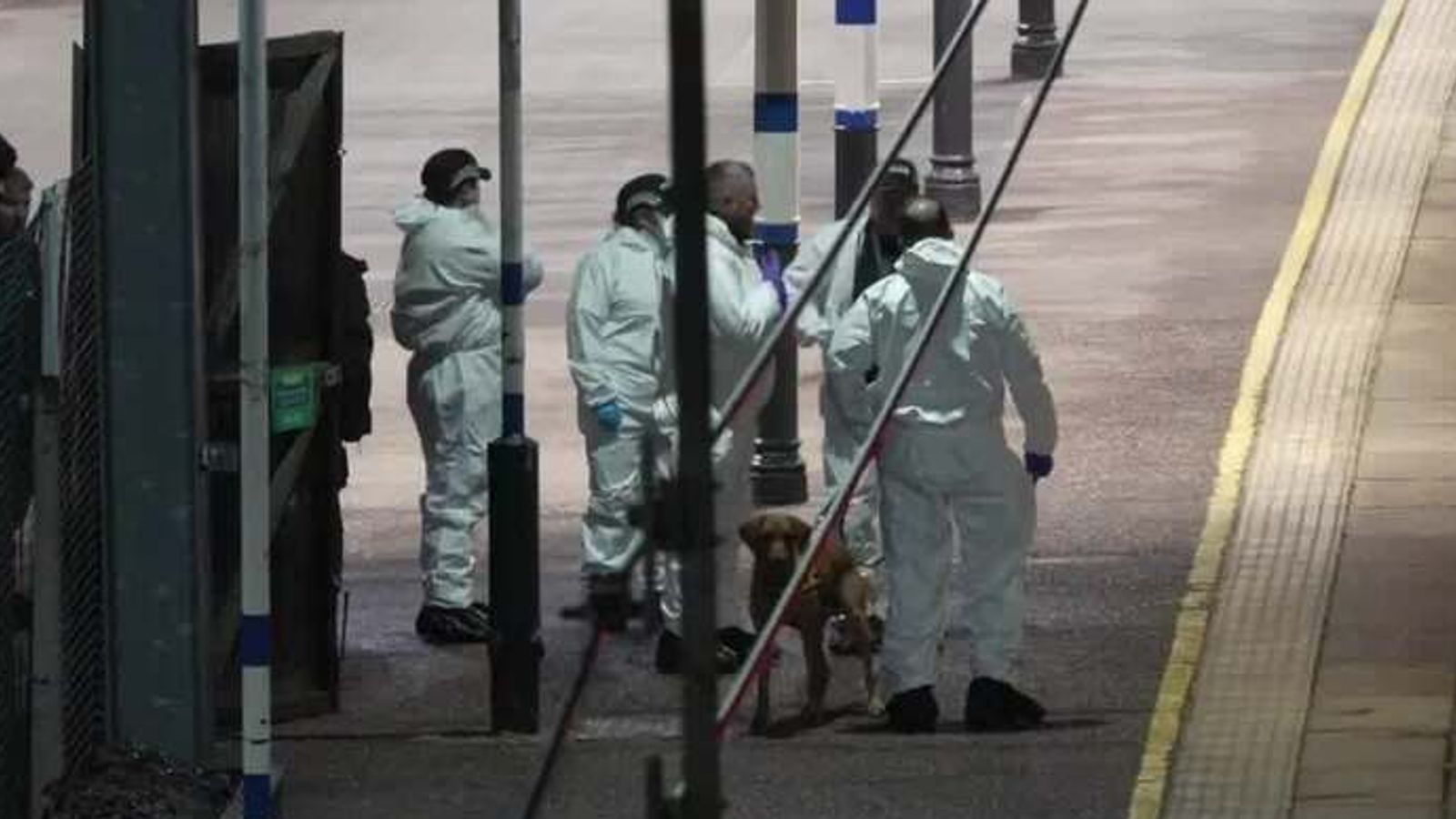 Mass stabbing on train: How the attack unfolded